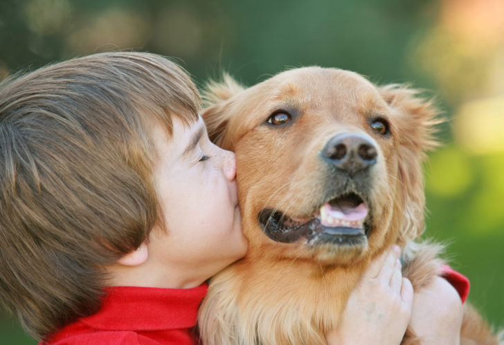 5 Great Ideas for How to Show Your Dog You Love Them