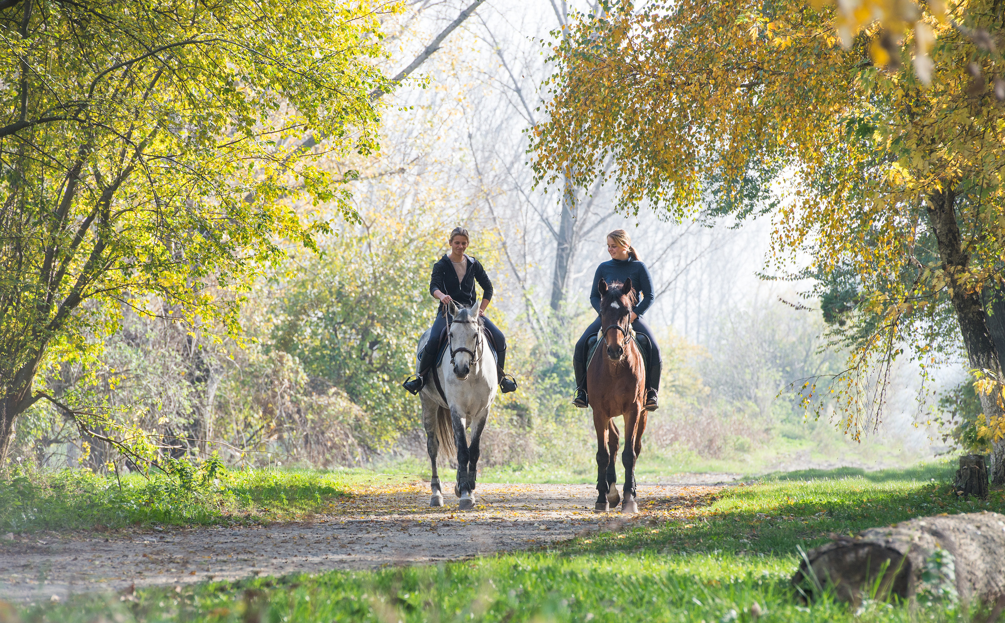 Top 5 Awesome Benefits of Horseback Riding
