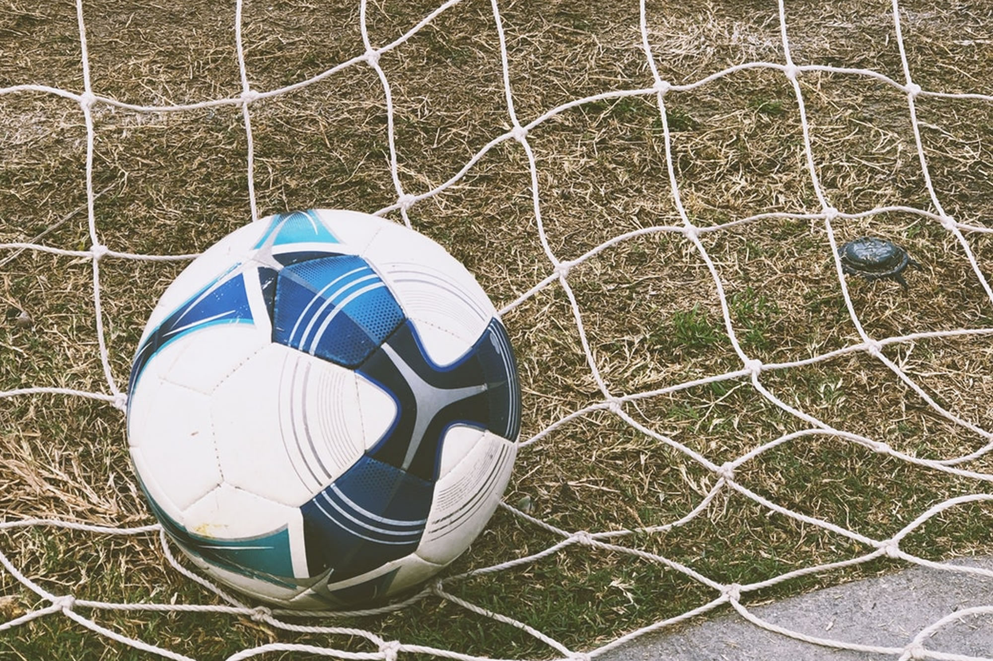 The Beautiful Game: 5 Interesting Soccer Facts Every Fan Should Know